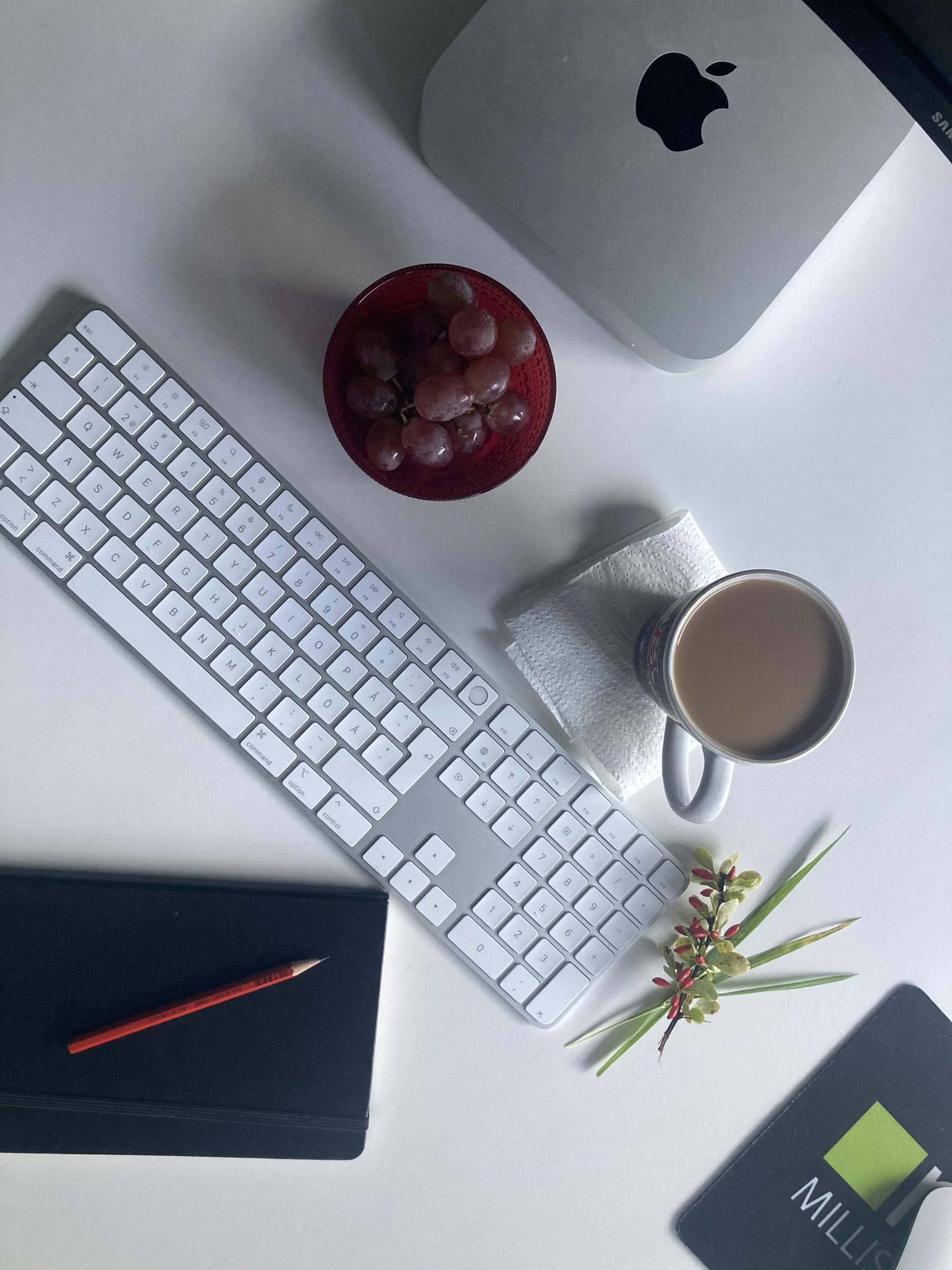 The role of end-users in successful B2B SaaS adoption - Talk by Students